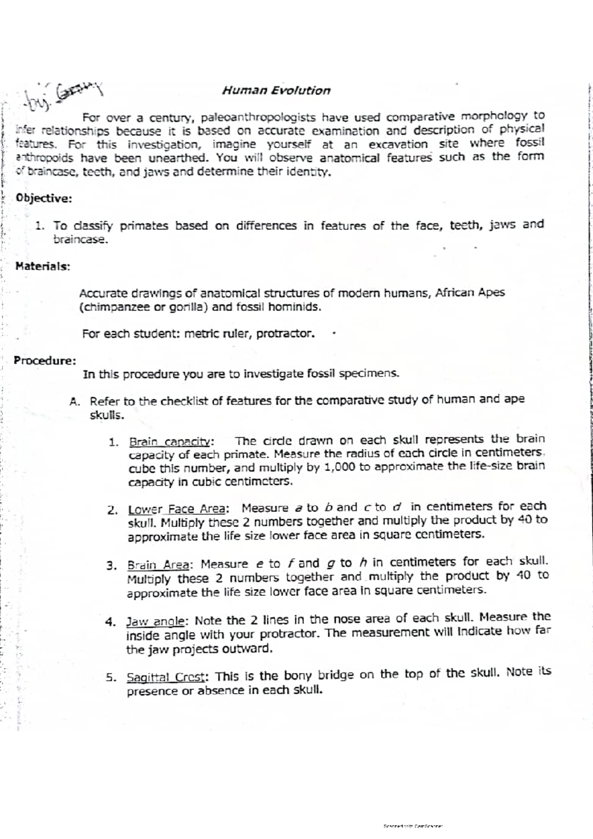 Human Evolution Lecture Note Biology Studocu