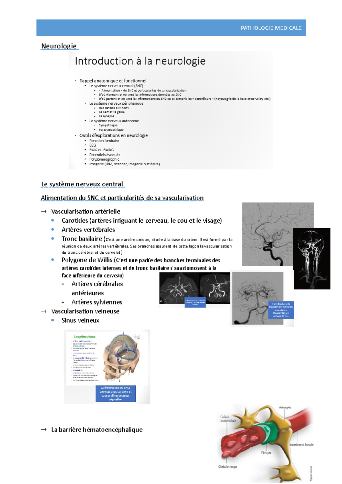 Patho-med- Complet - voici ma synthèse du cours de pathologie médicale - Neurologie Le système ...