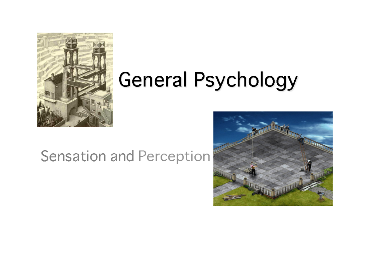 Sensation And Perception Psychology Ppt Pdf