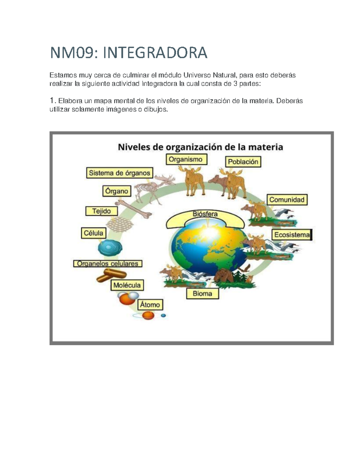 NM09. Integradora - Descripcion - NM09: INTEGRADORA Estamos muy cerca ...