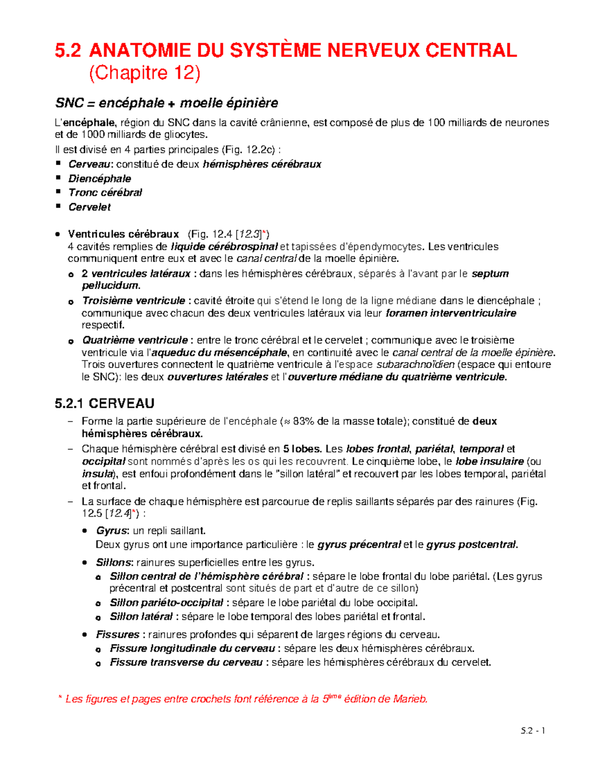 Notes Chapitre 5 ANP Systeme Nerveux:Cerveaux - 5. 2 ANATOMIE DU ...