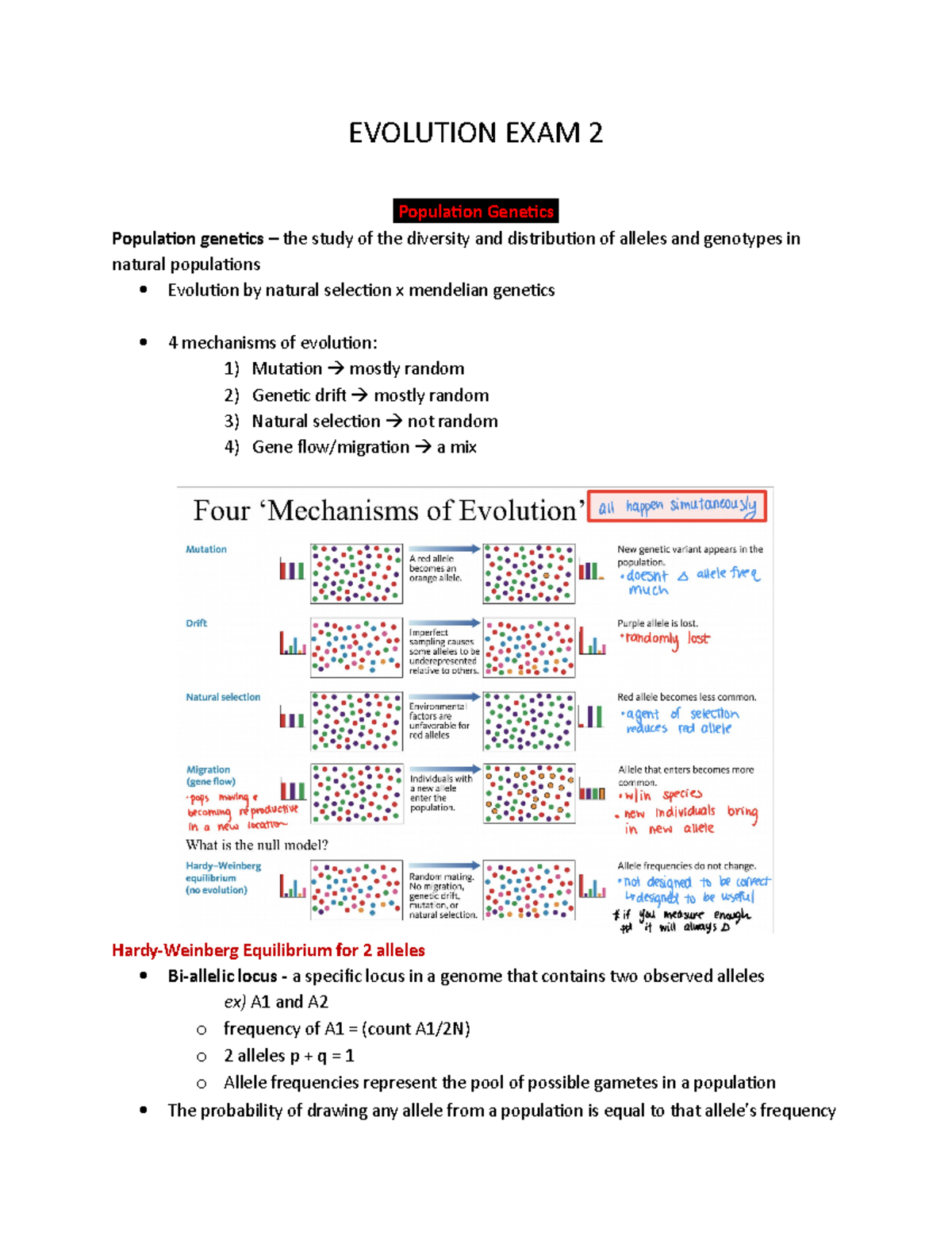 Evolution EXAM 2 - exam 2 info - EVOLUTION EXAM 2 .Population Genetics ...