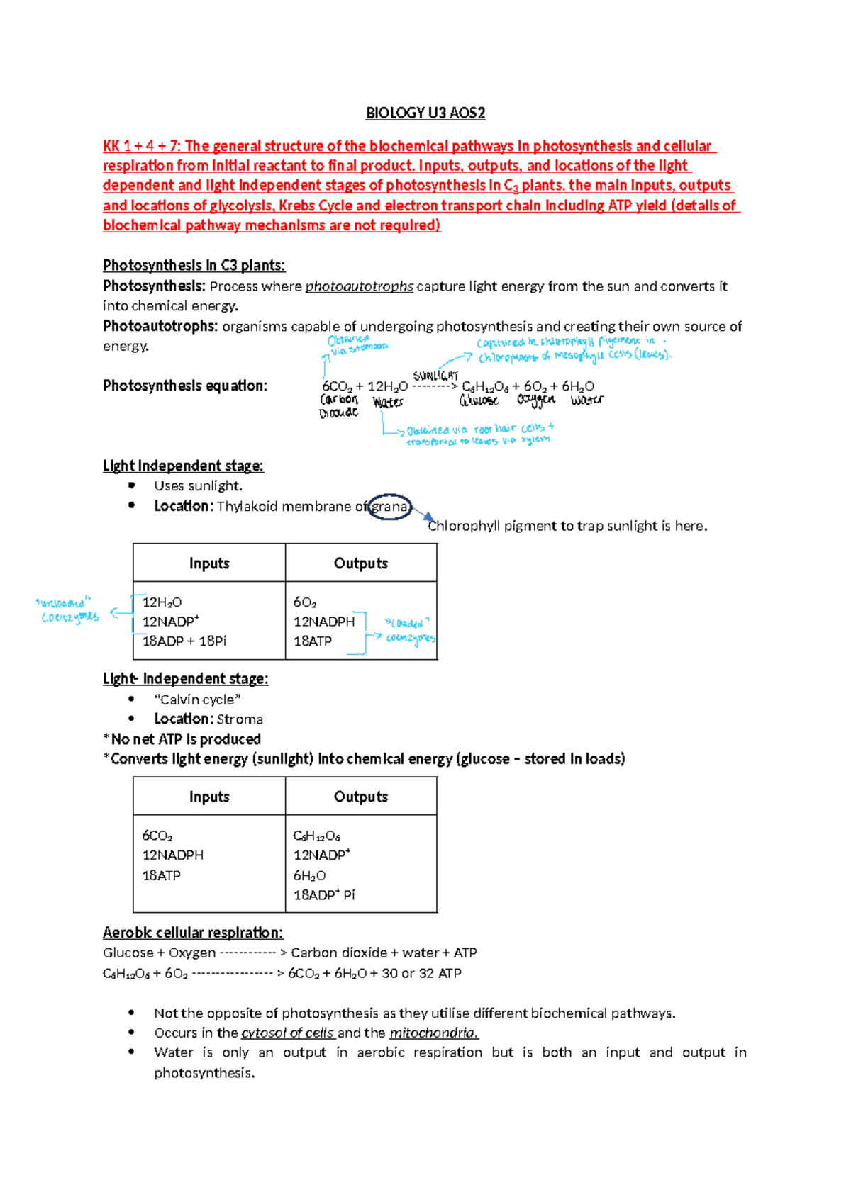 Biology U3 AOS2 - Bio study notes - BIOLOGY U3 AOS KK 1 + 4 + 7: The ...