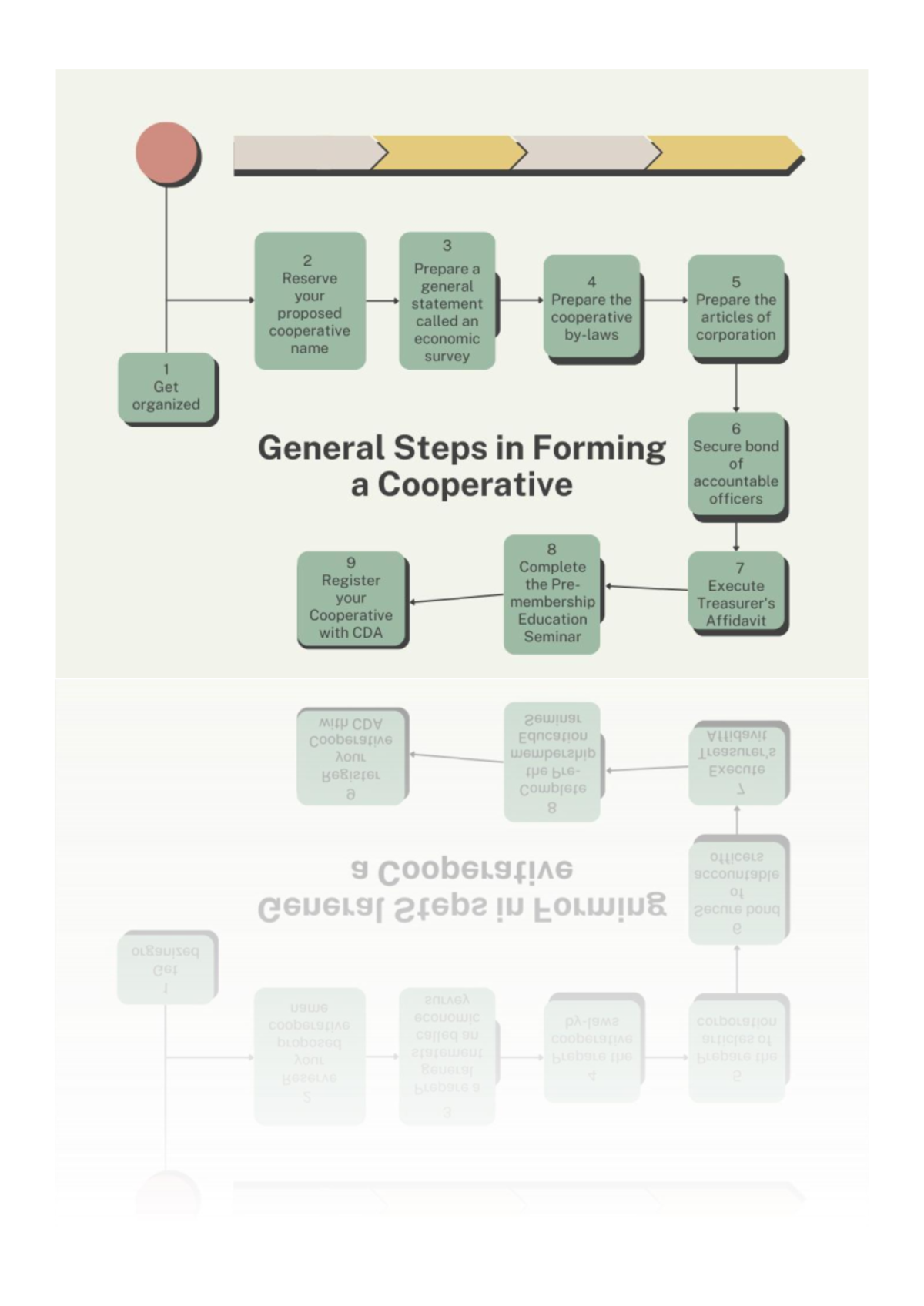 Process-flow-diagram - General Steps in forming a Cooperative There are ...