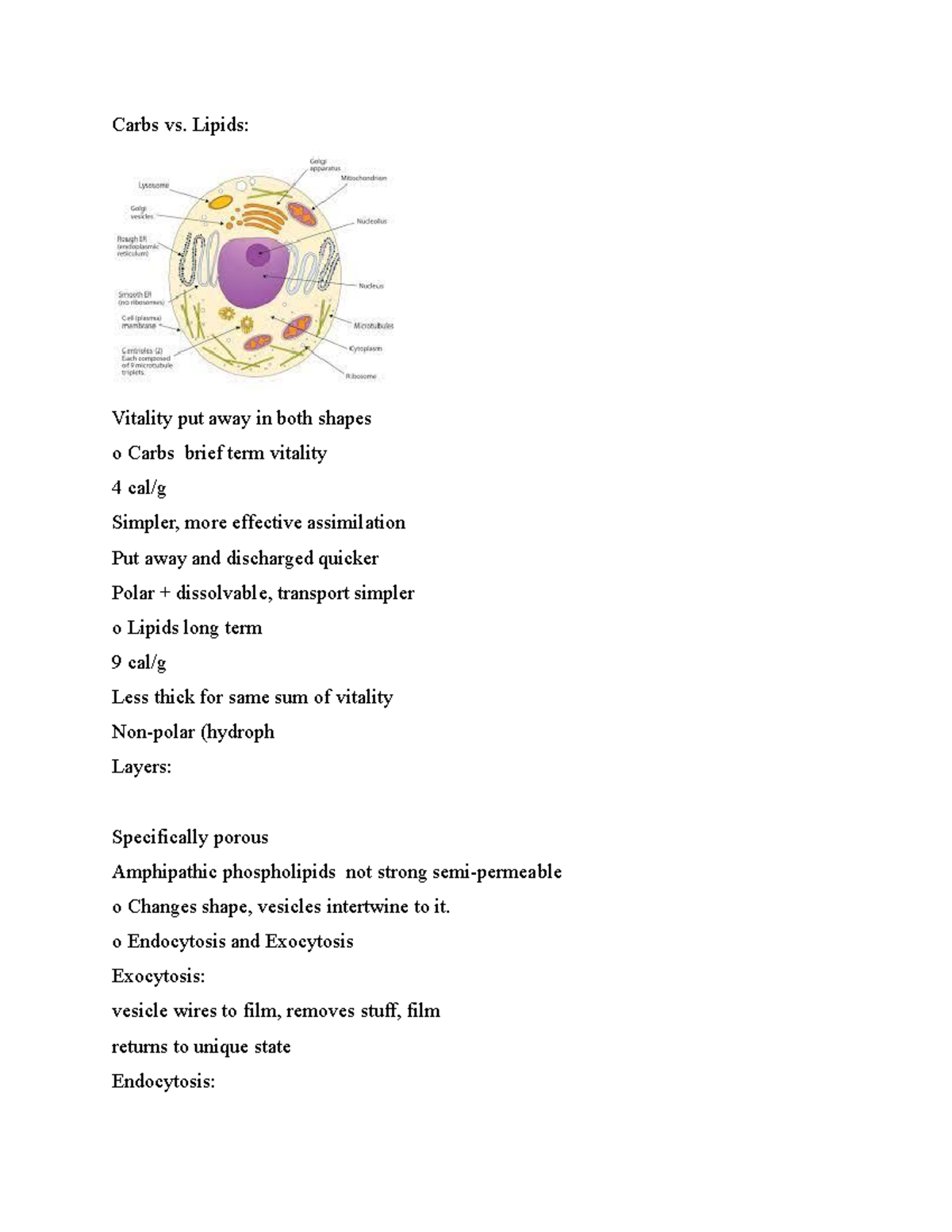 Lipids - Carbs vs. Lipids: Vitality put away in both shapes o Carbs ...