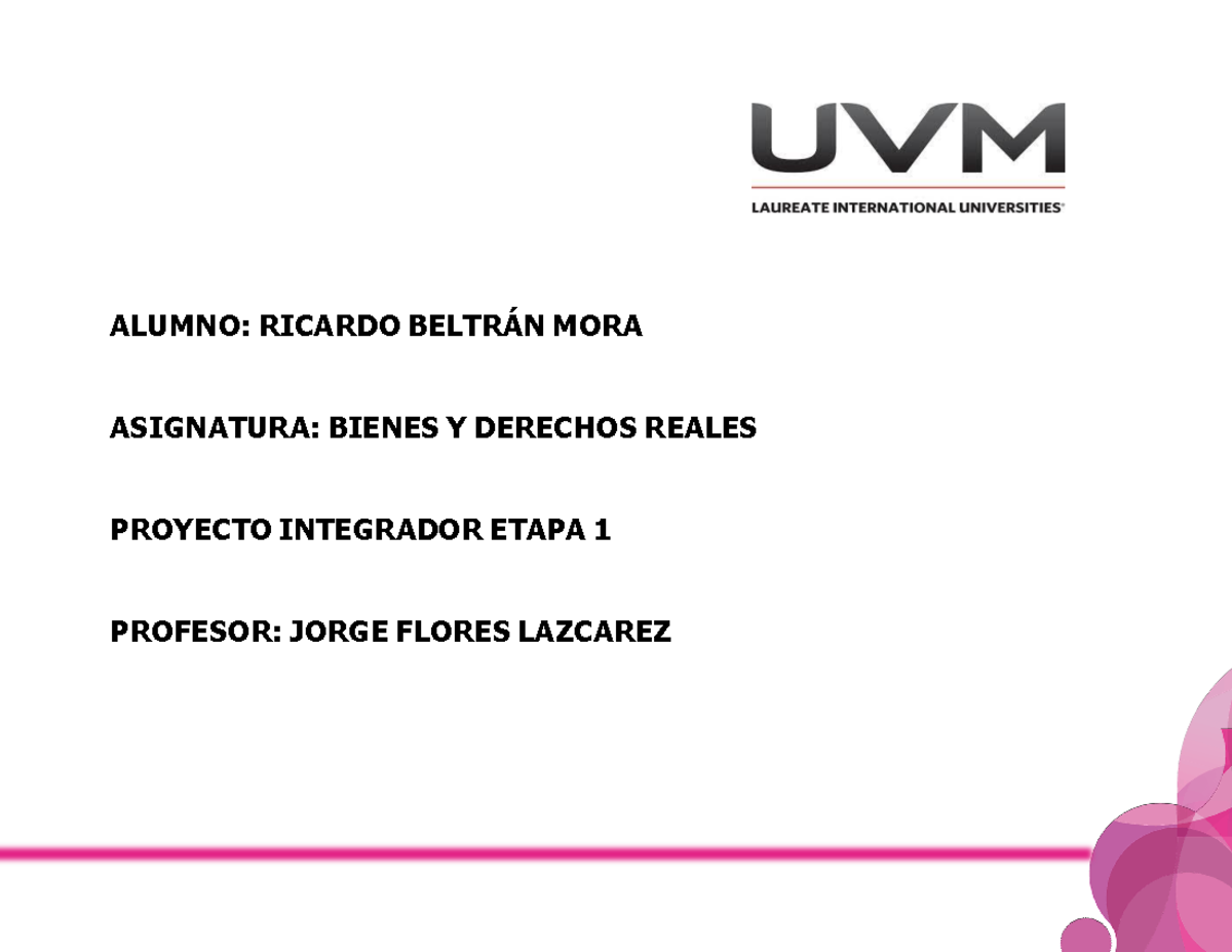 PI Etapa 1 RBM - RESUMEN - ALUMNO: RICARDO BELTRÁN MORA ASIGNATURA: BIENES Y DERECHOS REALES ...
