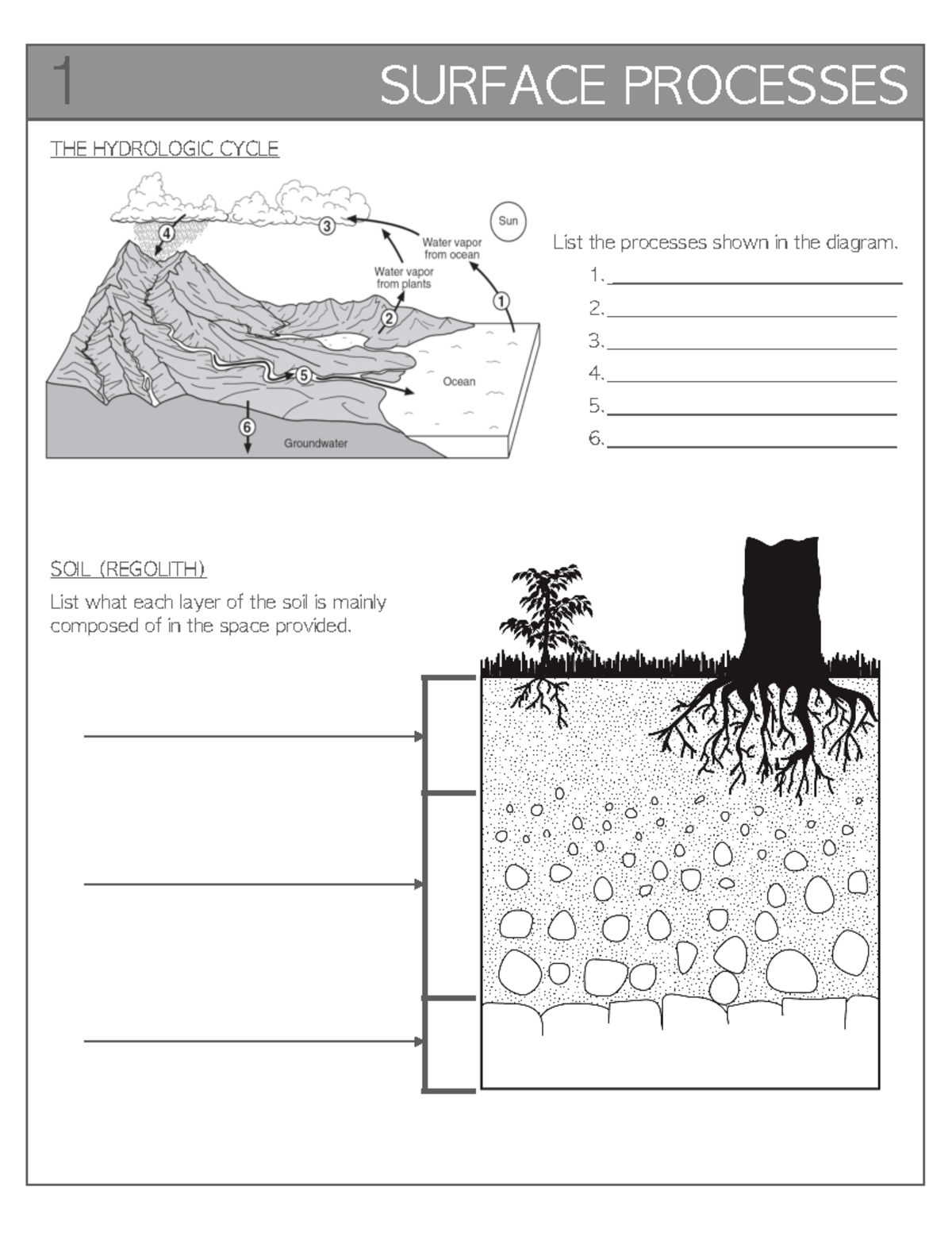 Surface Processes Assignment