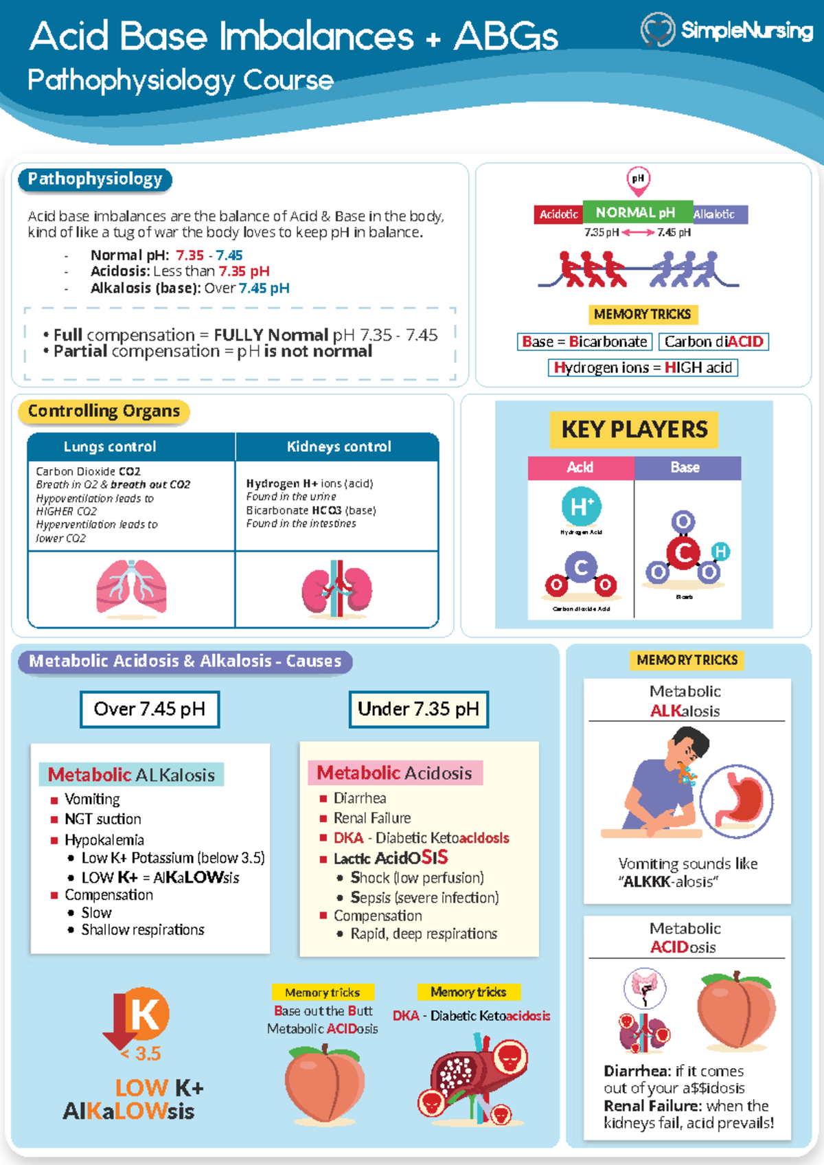 ABG - NOOOOTTTTESSS - Acid Base Imbalances + ABGs Pathophysiology ...