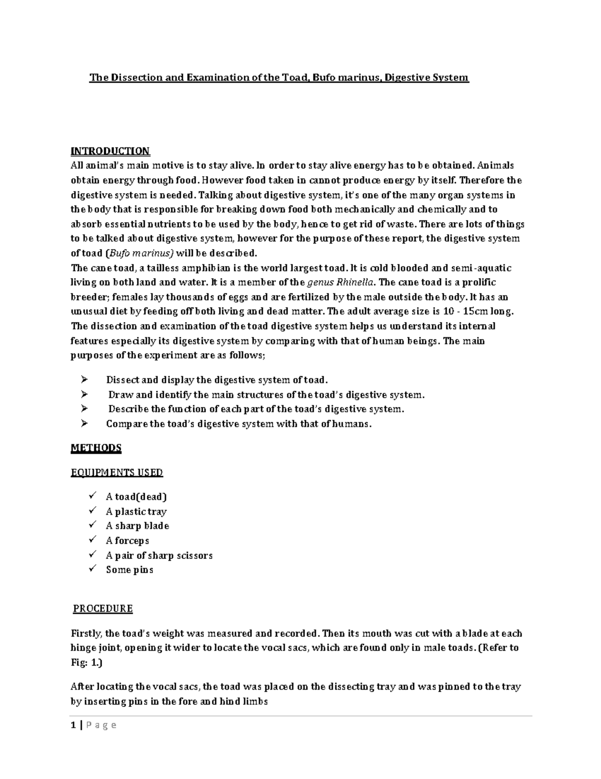 Toad Disection lab report - The Dissection and Examination of the Toad ...