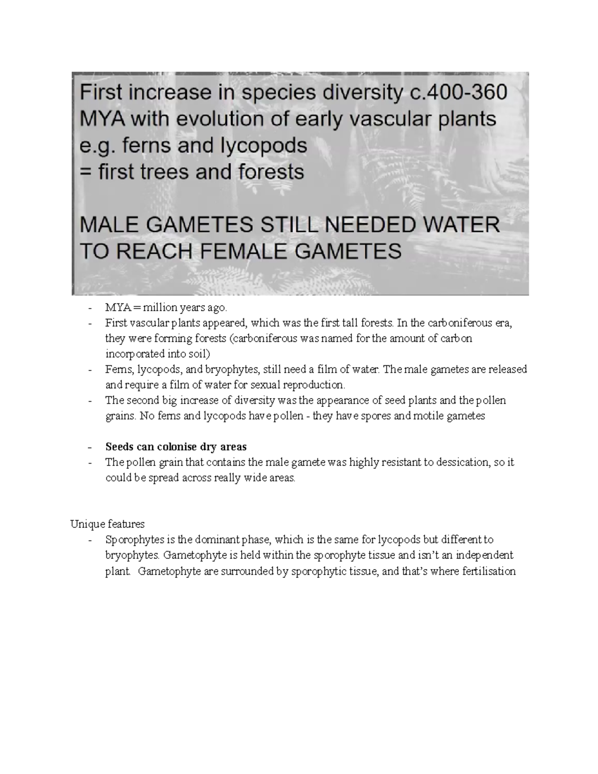 Flowering Plants Lecture Block > Lecture 1 > Seed Plants - Plants: How ...