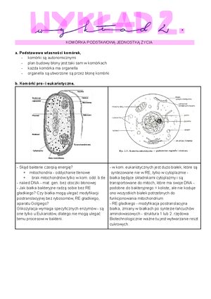 Budowa i funkcje blon biologicznych - Budowa i funkcje błon biologicznych Wprowadzenie ...