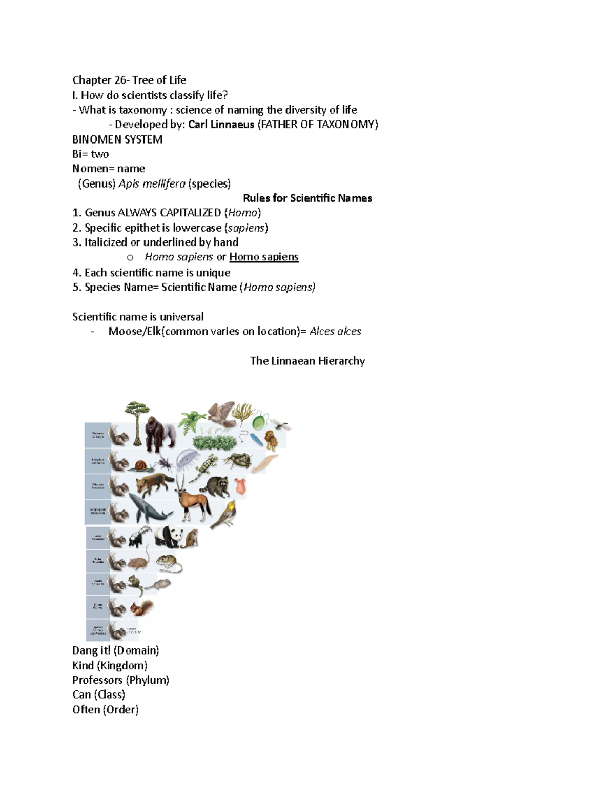 Chapter 26 - CH 26 - Chapter 26- Tree of Life I. How do scientists ...