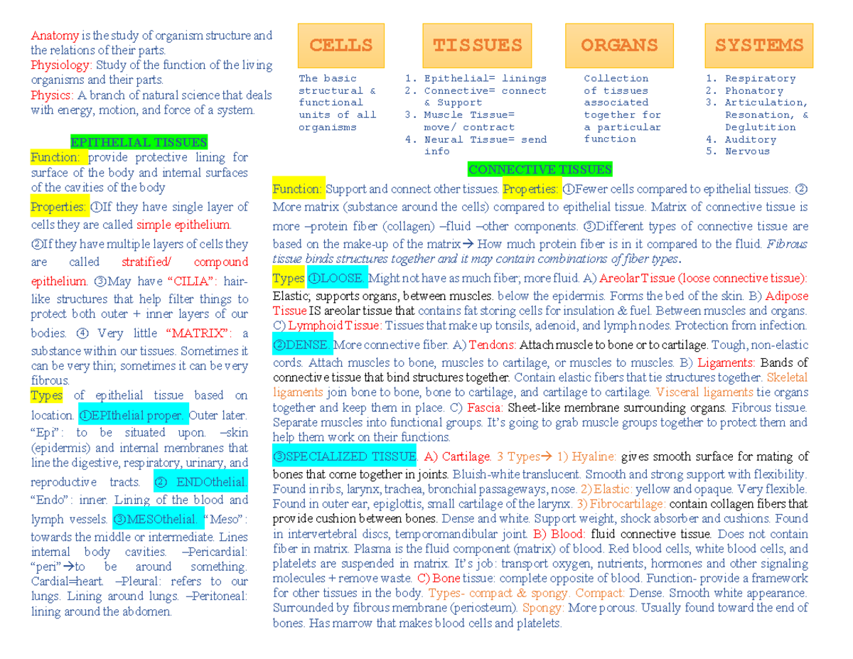 3100-1 Studyguide - Lecture study guide - CELLS TISSUES ORGANS SYSTEMS ...