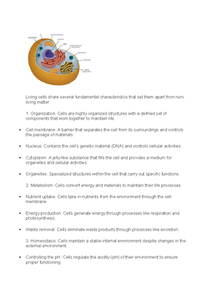Cell bio 1 - section 2 of the assisgnment - Section 1 Characteristics ...