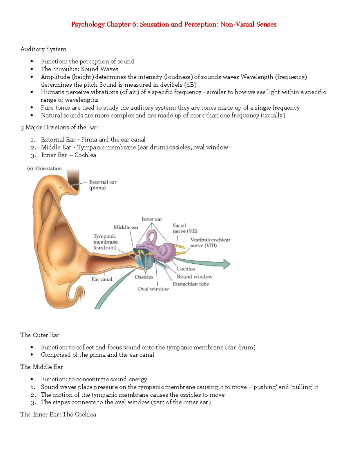 Psych Chapter 6 non visual - Psychology Chapter 6: Sensation and ...