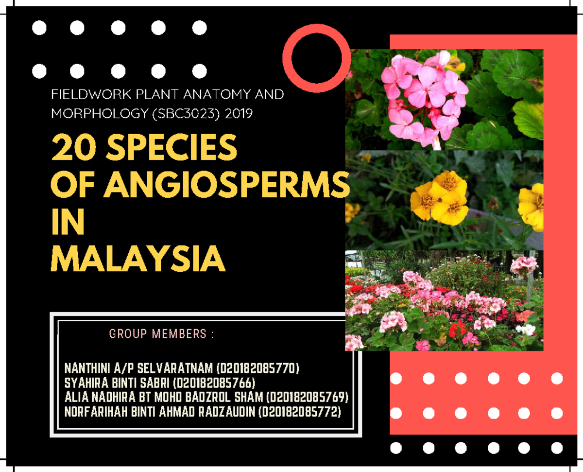 Magazine 20 Angiosperms - ISMP Biology AT 11 - Studocu