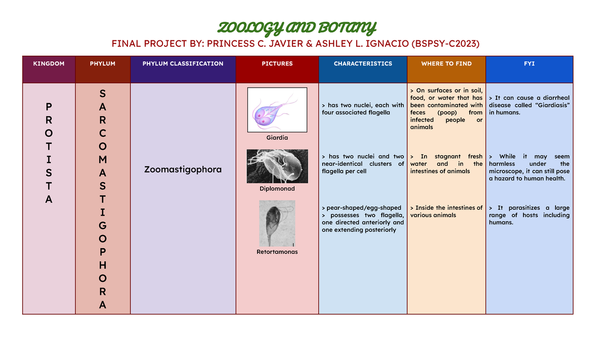 Final Lessons in ZooBot - FINAL PROJECT BY: PRINCESS C. JAVIER & ASHLEY ...