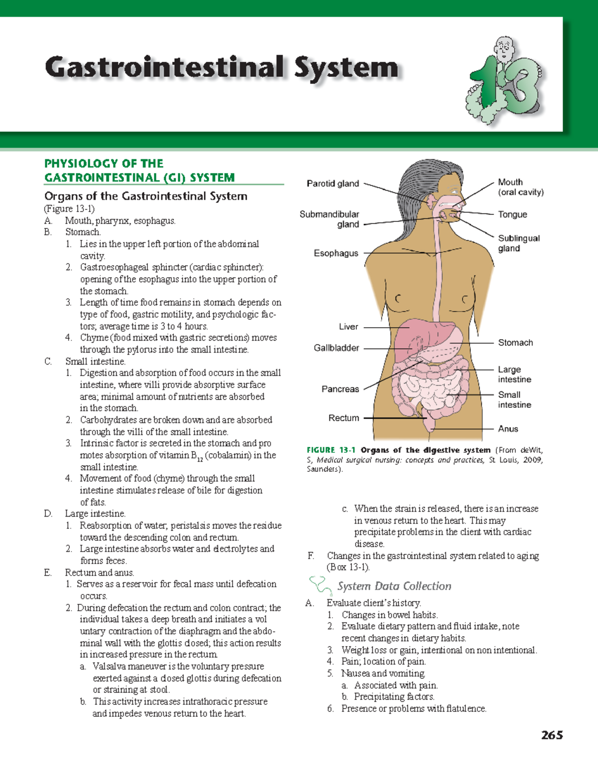 GI system - Gastrointestinal System 265 c. When the strain is released ...