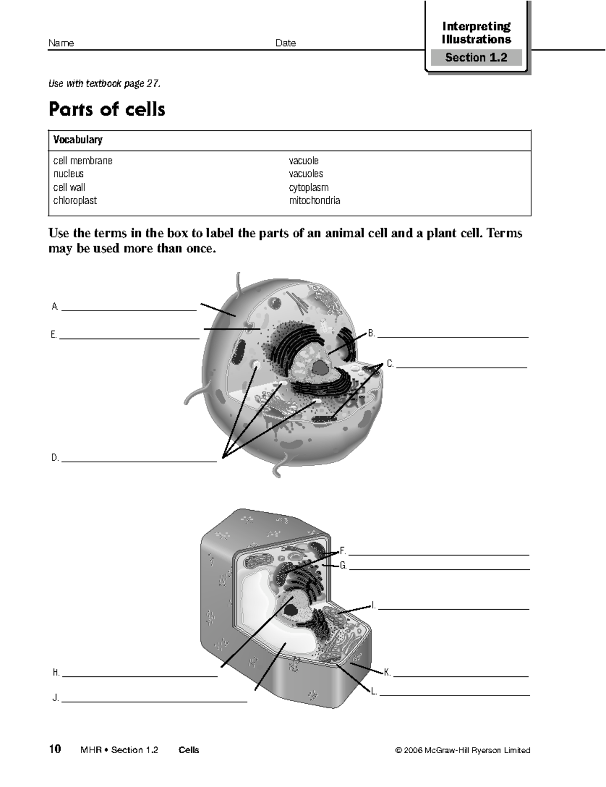 Practice worksheet - 10 MHR • Section 1 Cells © 2006 McGraw-Hill ...