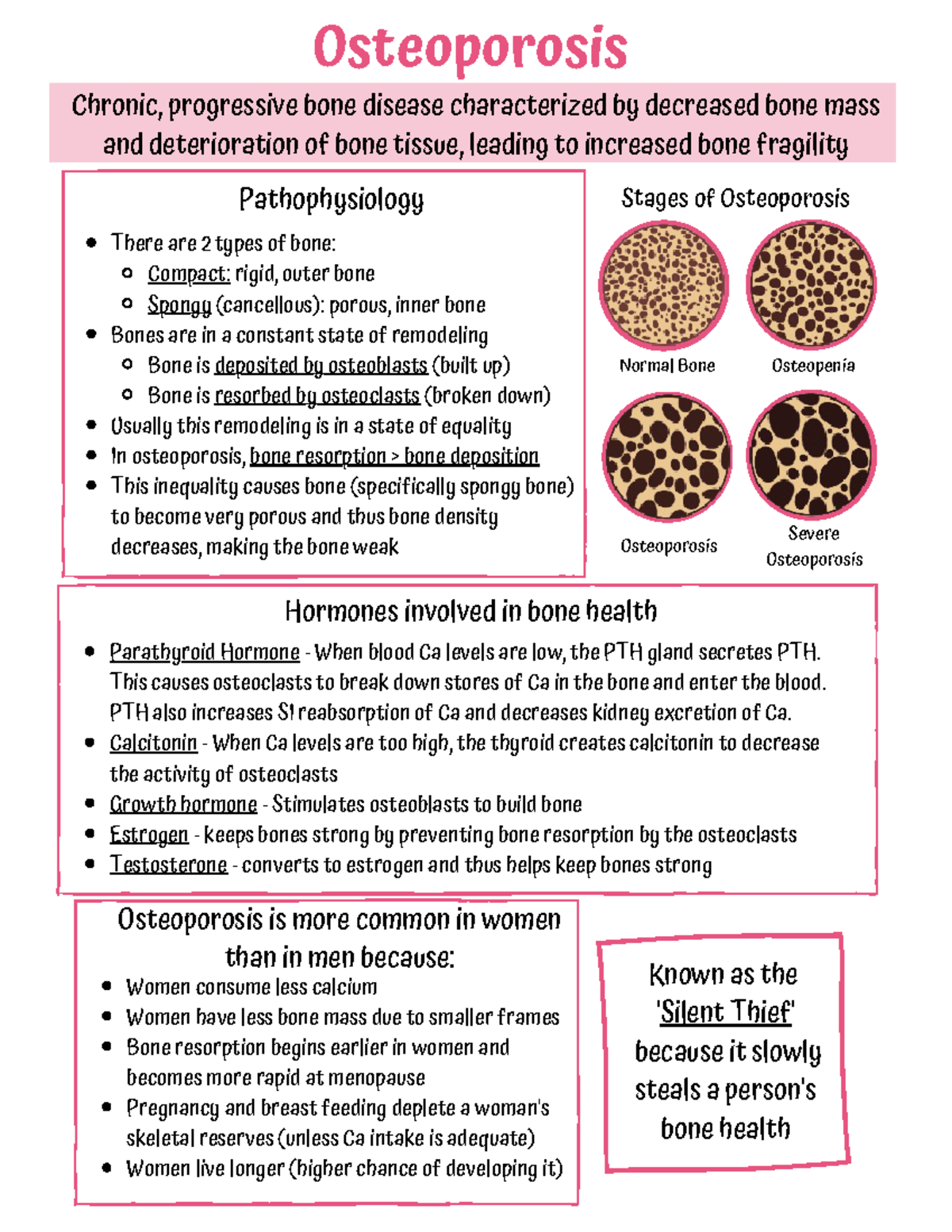 Osteoporosis Reference Handout - There are 2 types of bone: Compact ...