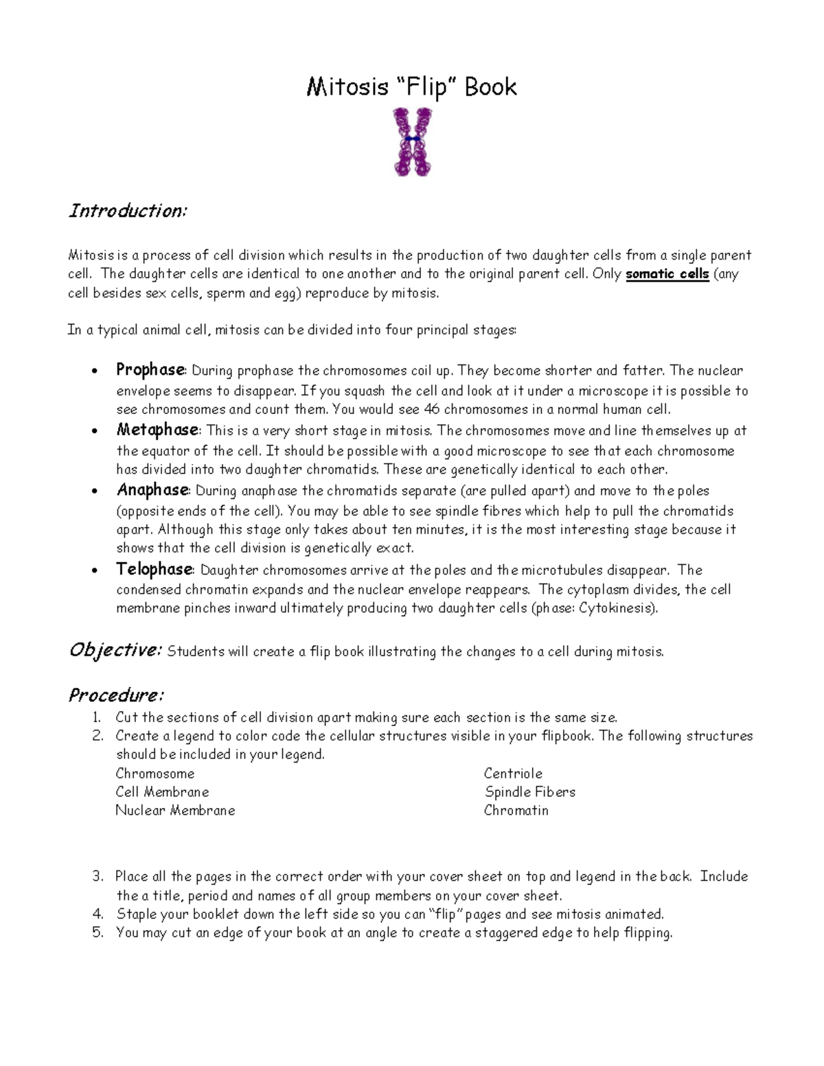 Mitosis Flip Book - ;lkjhg - Mitosis “Flip” Book Introduction: Mitosis ...