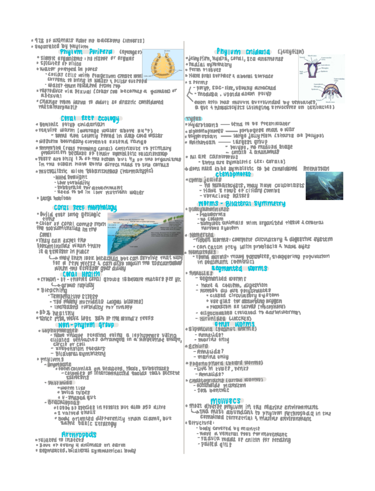 Invertebrates - Dr. Slattery Marine Science - MAR-200 - Studocu