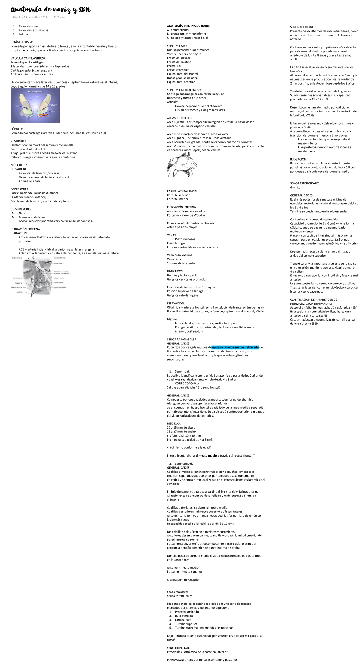 Anatomía de nariz y SPN 2 - Piramide osea Piramide cartilaginosa Lobulo PIRÁMIDE OSEA: Formada ...