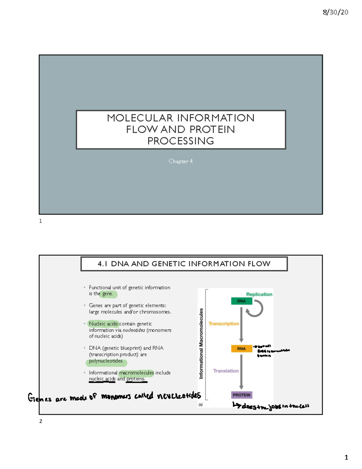 Unit Three BIO300 - Microbiology notes unit 3 - MOLECULAR INFORMATION ...