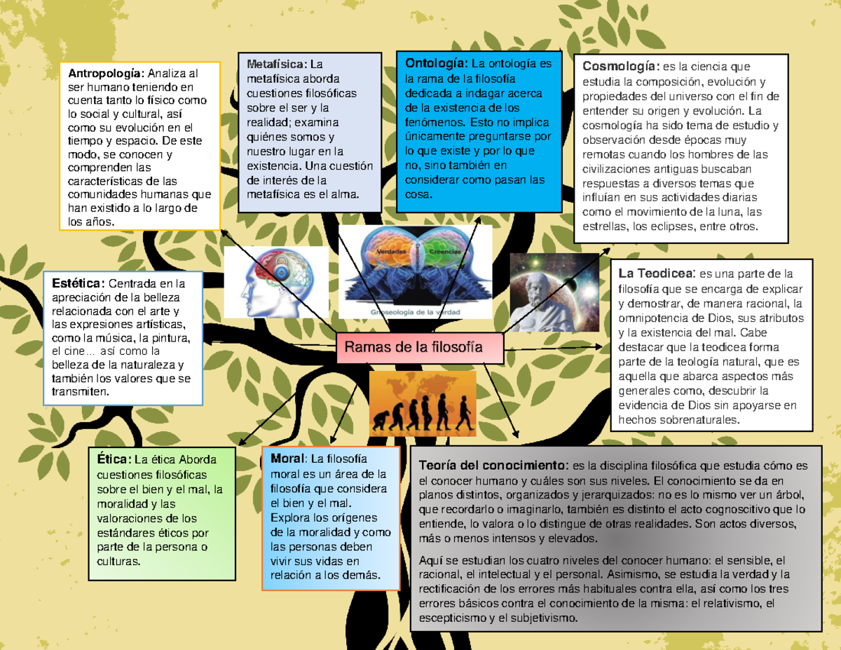Ramas de la Filosofia - } Ramas de la filosofía Antropología: Analiza al ser humano teniendo en ...