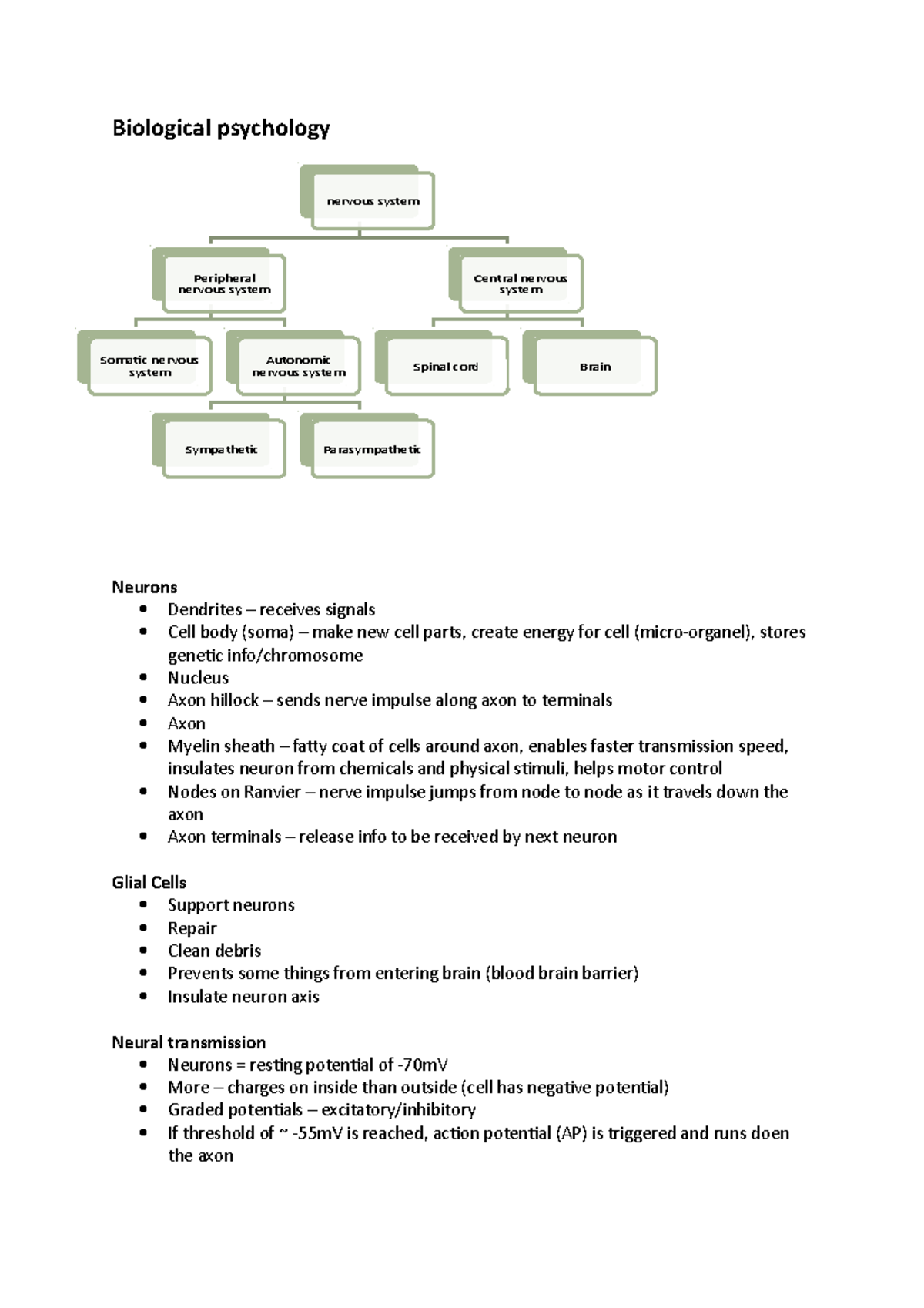 PSY112 Course Review - Biological psychology Neurons Dendrites ...