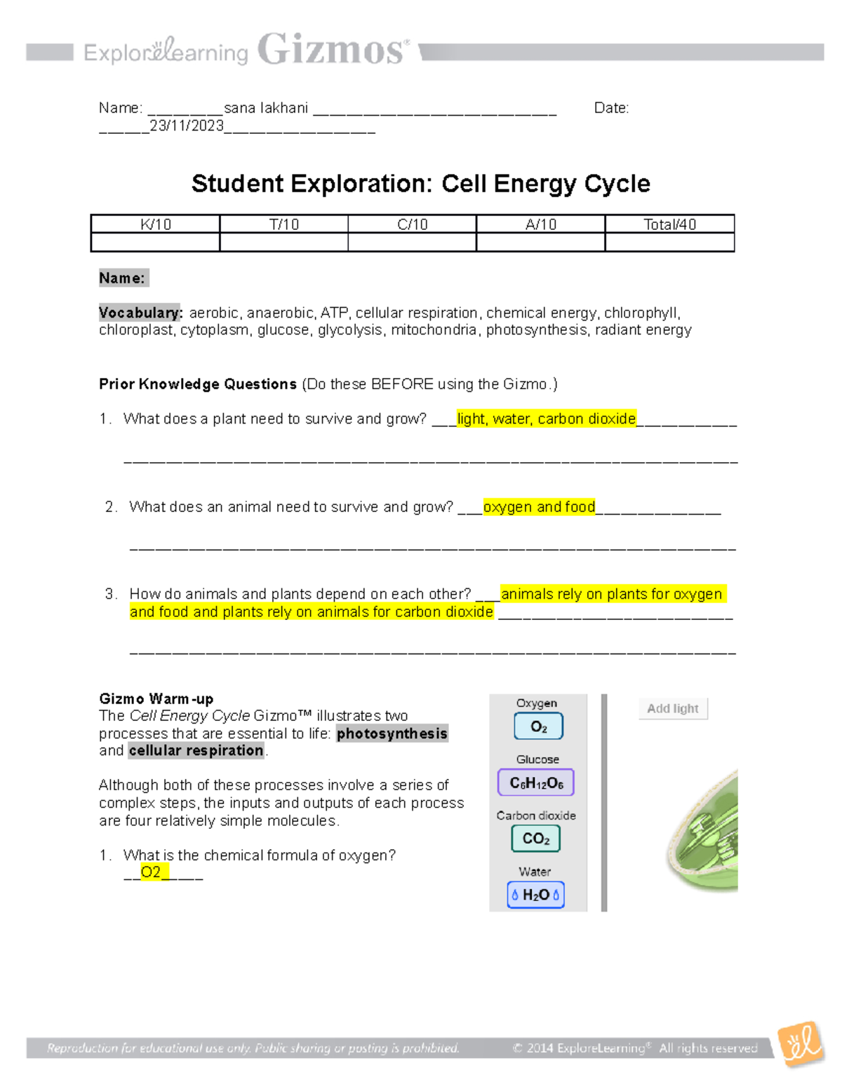 Cell Energy gizmo answer - Name: sana lakhani ...