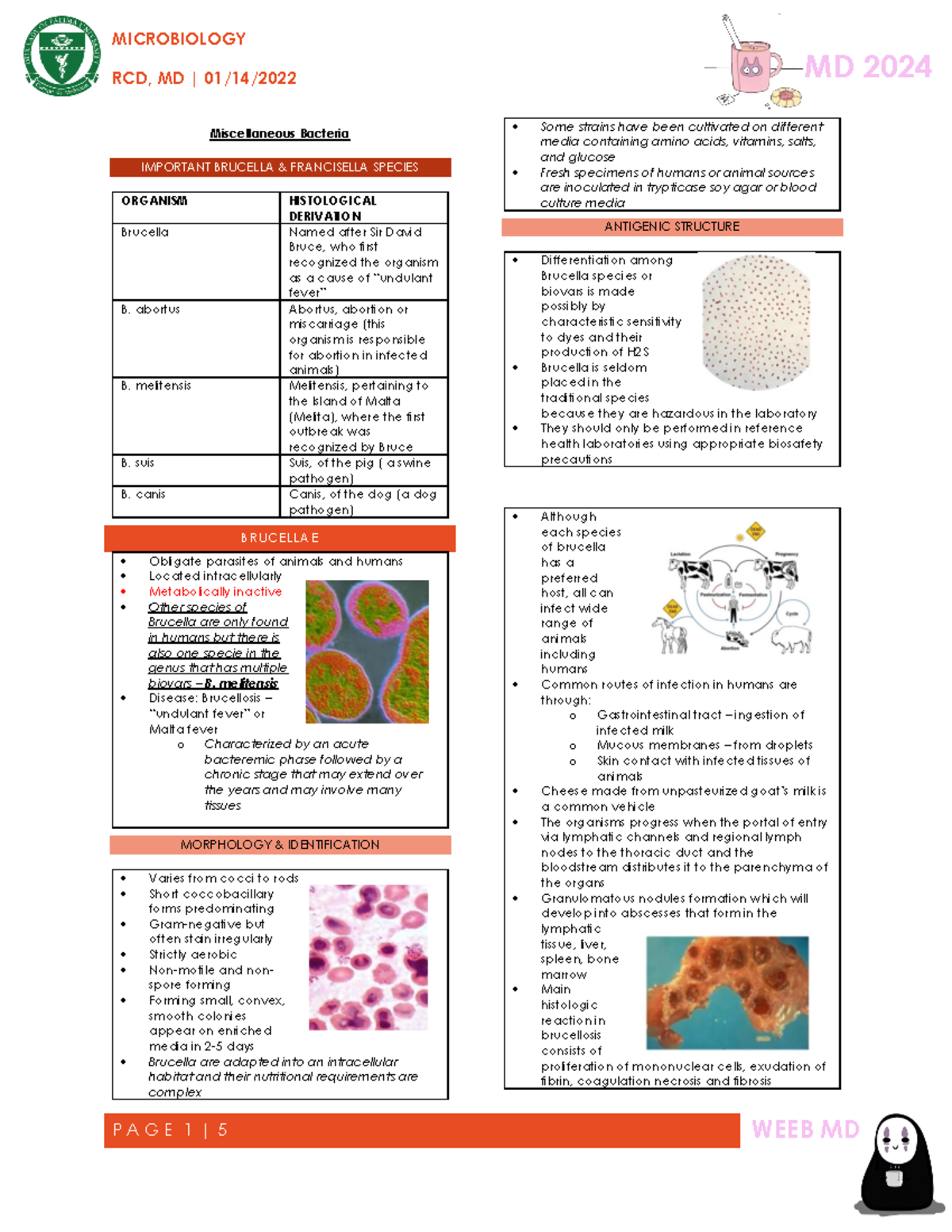 Miscellaneous Bacteria - P A G E 1 | 5 RCD, MD | 01/14/2022 MD 2024 ...