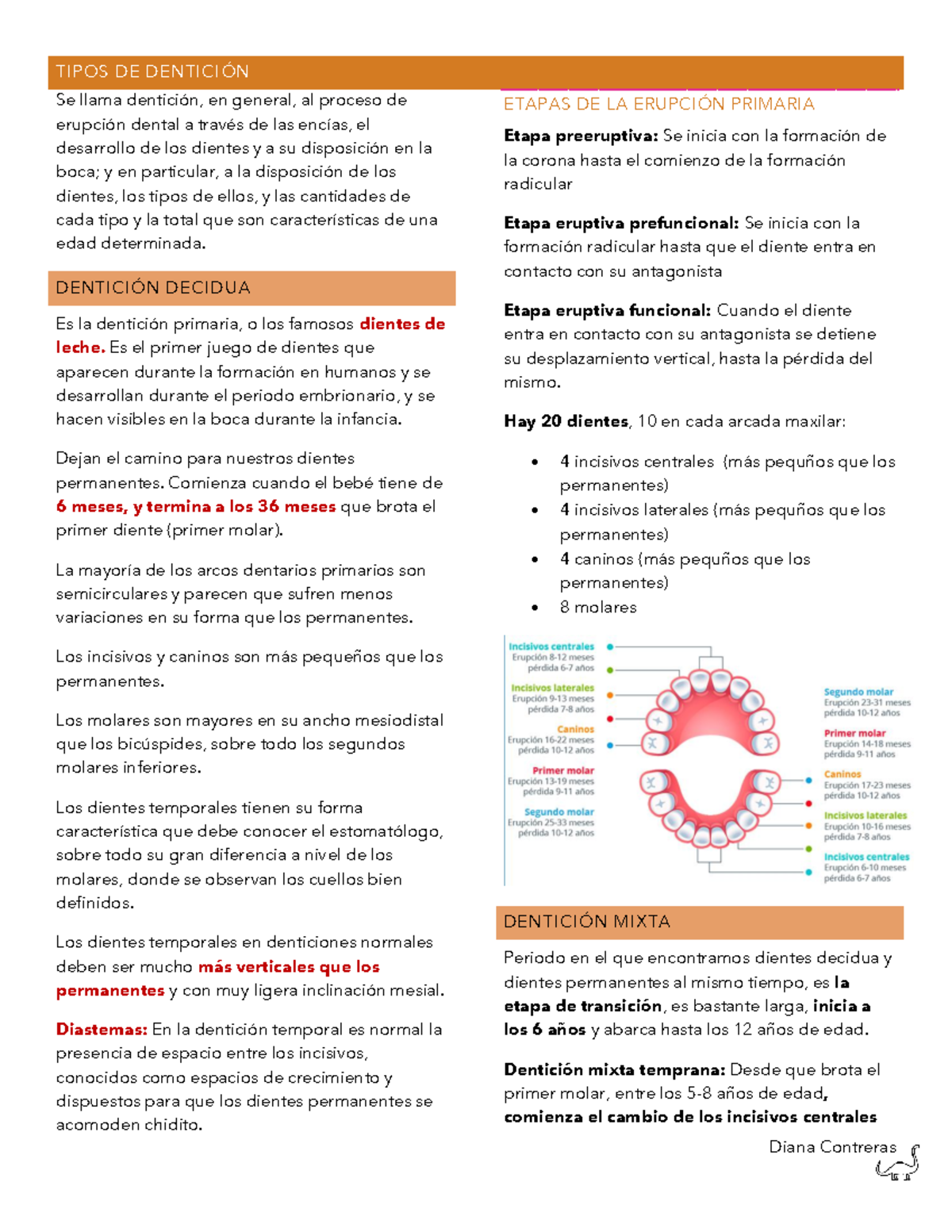 Tipos de dentición - Diana Contreras TIP OS DE DEN TICI ”N Se llama ...