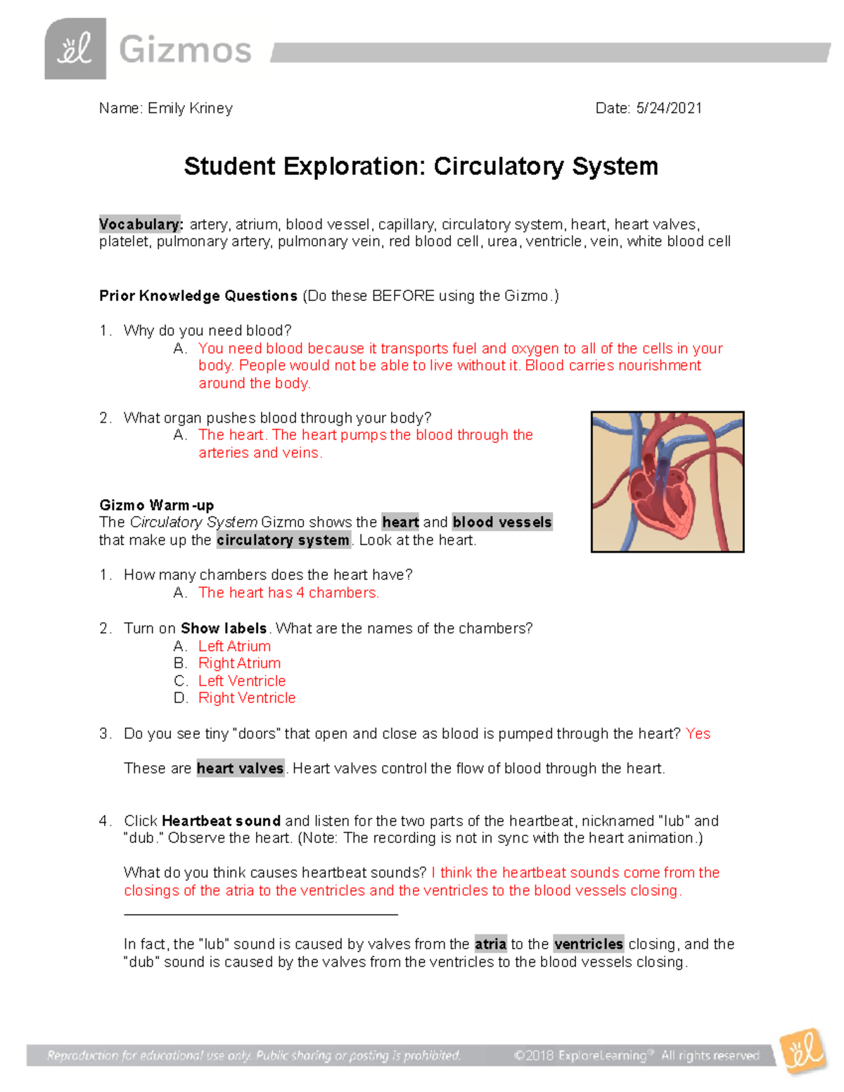 Circulatory System Gizmo - Name: Emily Kriney Date: 5/24/ Student ...