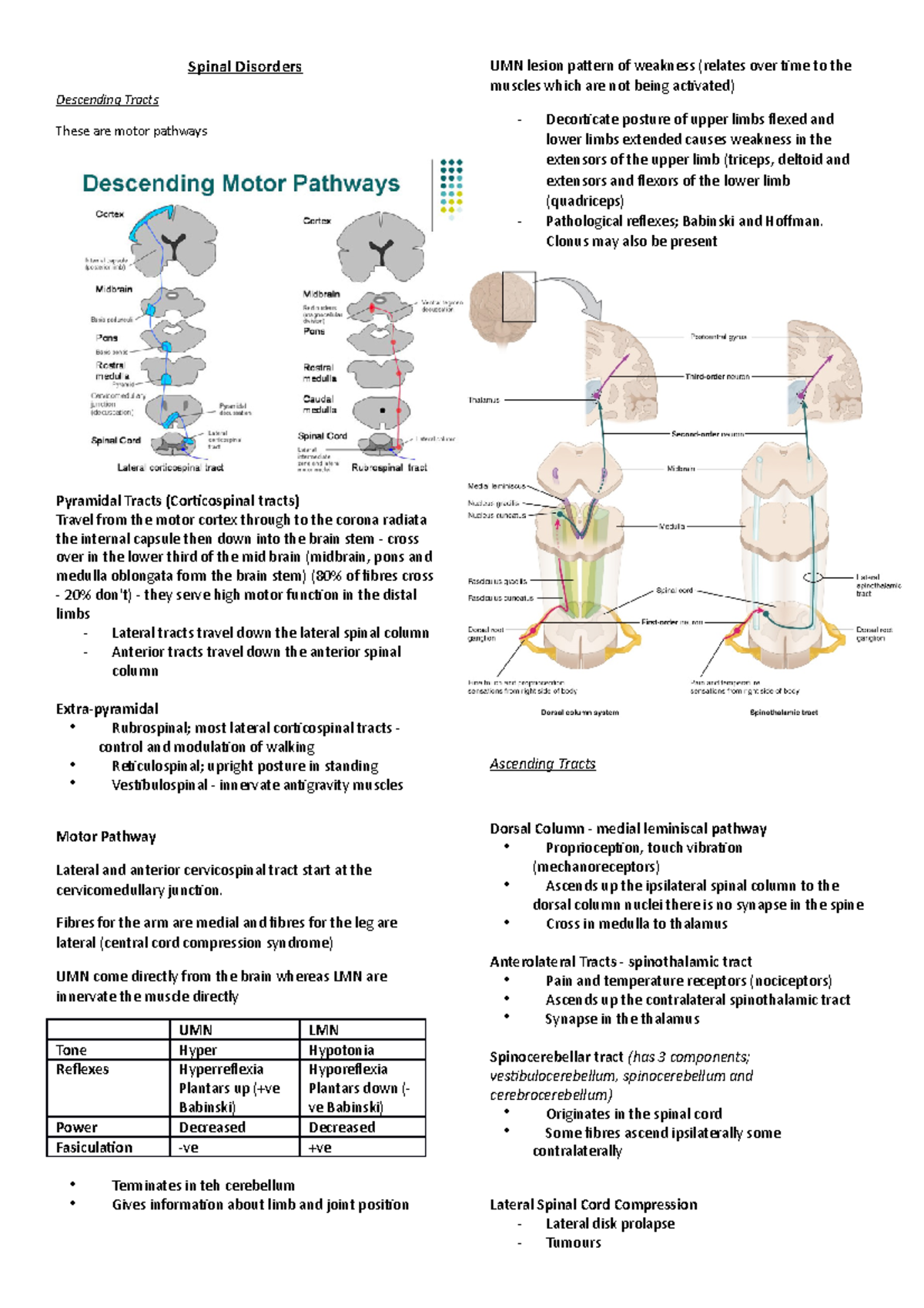 Spinal Disorders - Summary notes - Spinal Disorders Descending Tracts ...