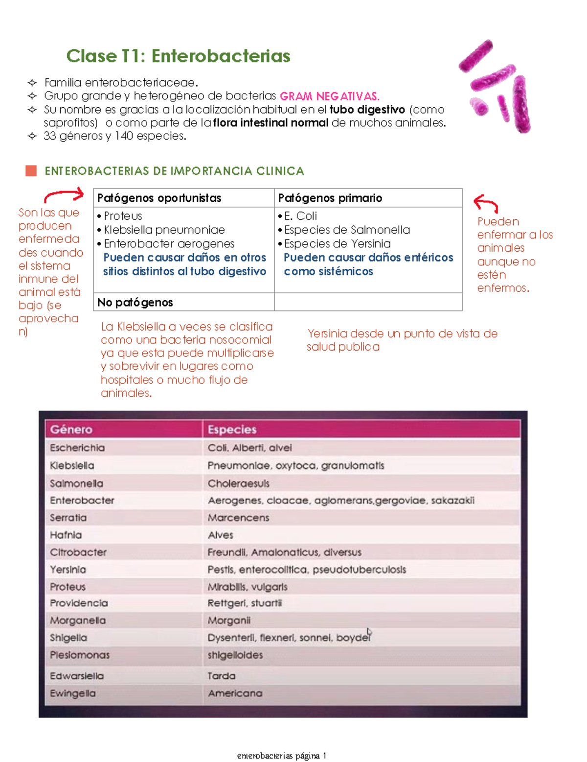 Tema 13. Enterobacterias – ONKYH