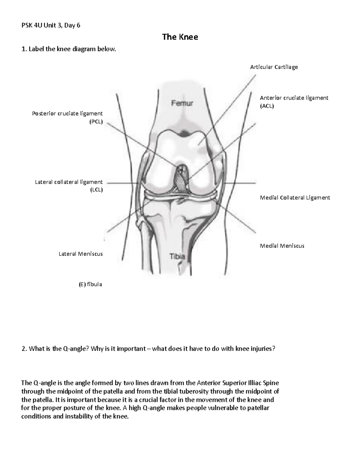 Psk 4u unit 3 day 6 the knee - PSK 4U Unit 3, Day 6 The Knee 1. Label ...
