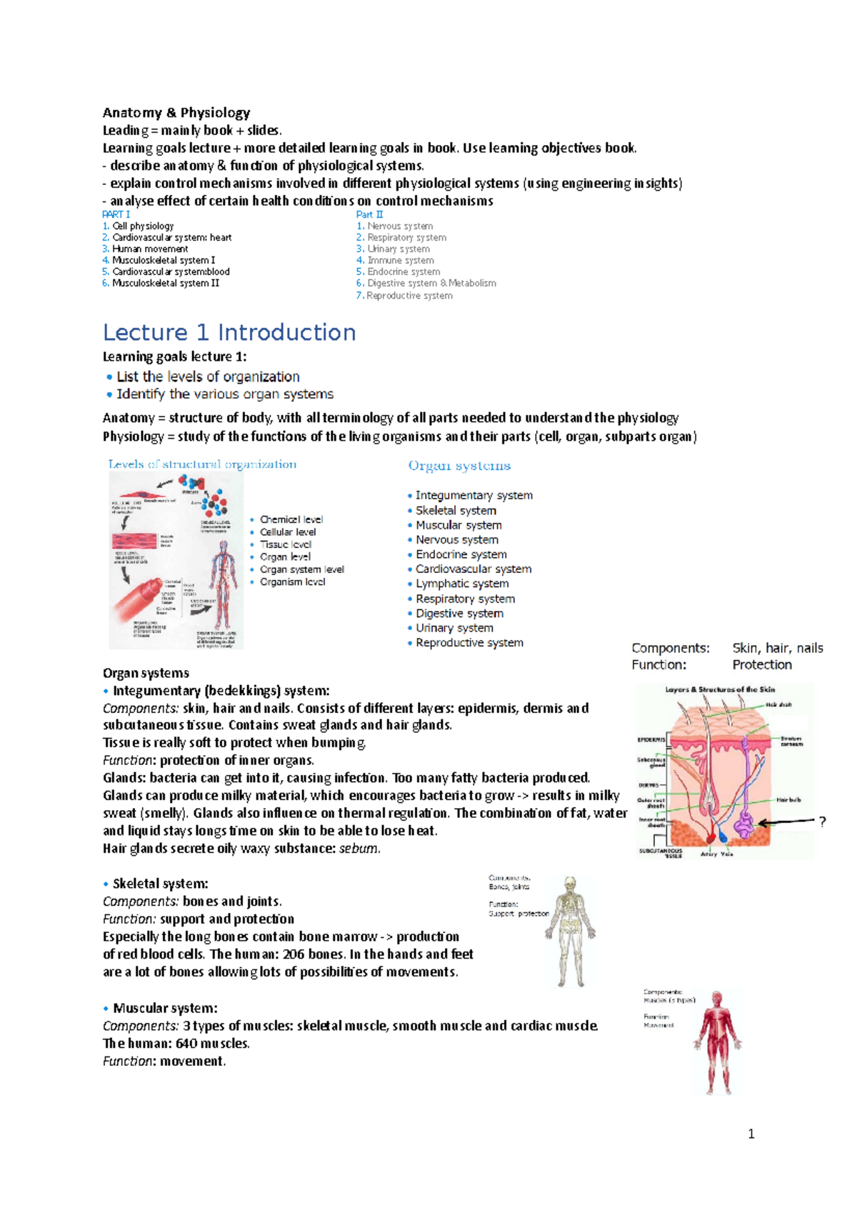 Anatomy & Phsyiology colleges - Anatomy & Physiology Leading = mainly ...