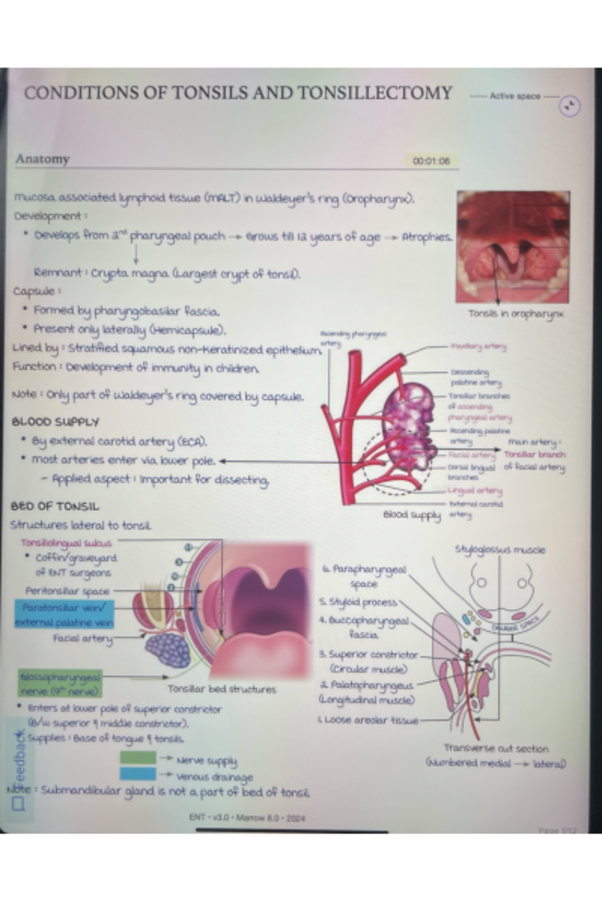 Photo 3 - FMT notes - CONDITIONS OF TONSILS AND TONSILLECTOMY Active ...