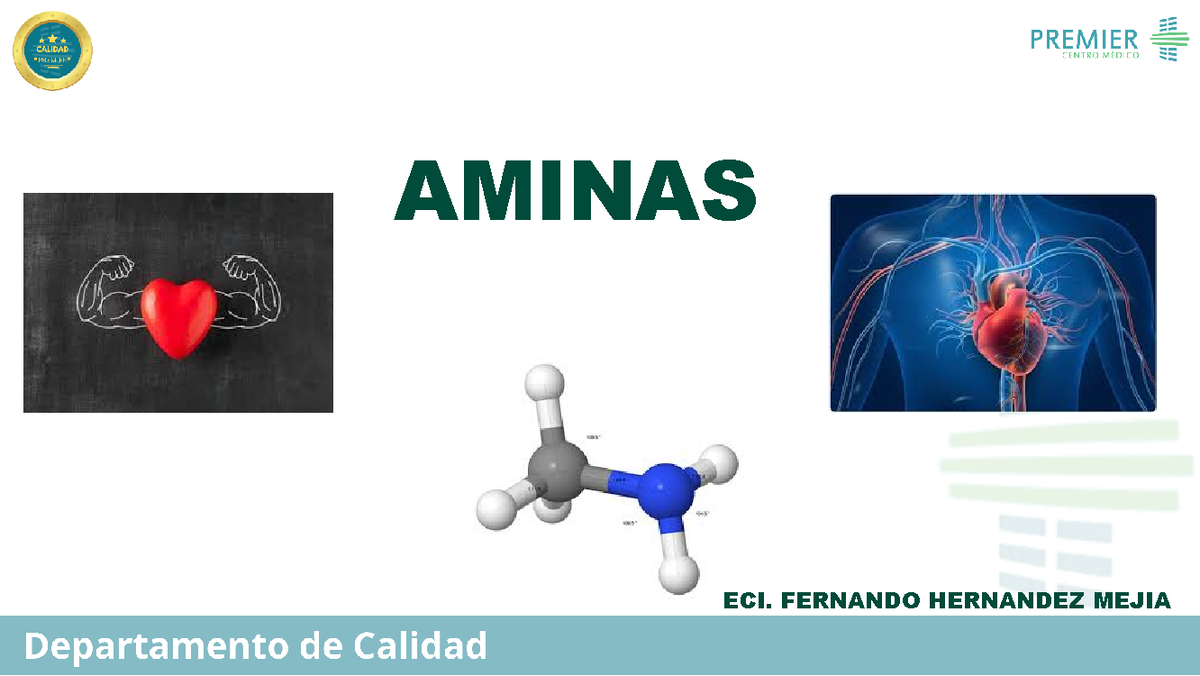 Aminas repaso - AMINAS ECI. FERNANDO HERNANDEZ MEJIA CONCEPTO Todo ...