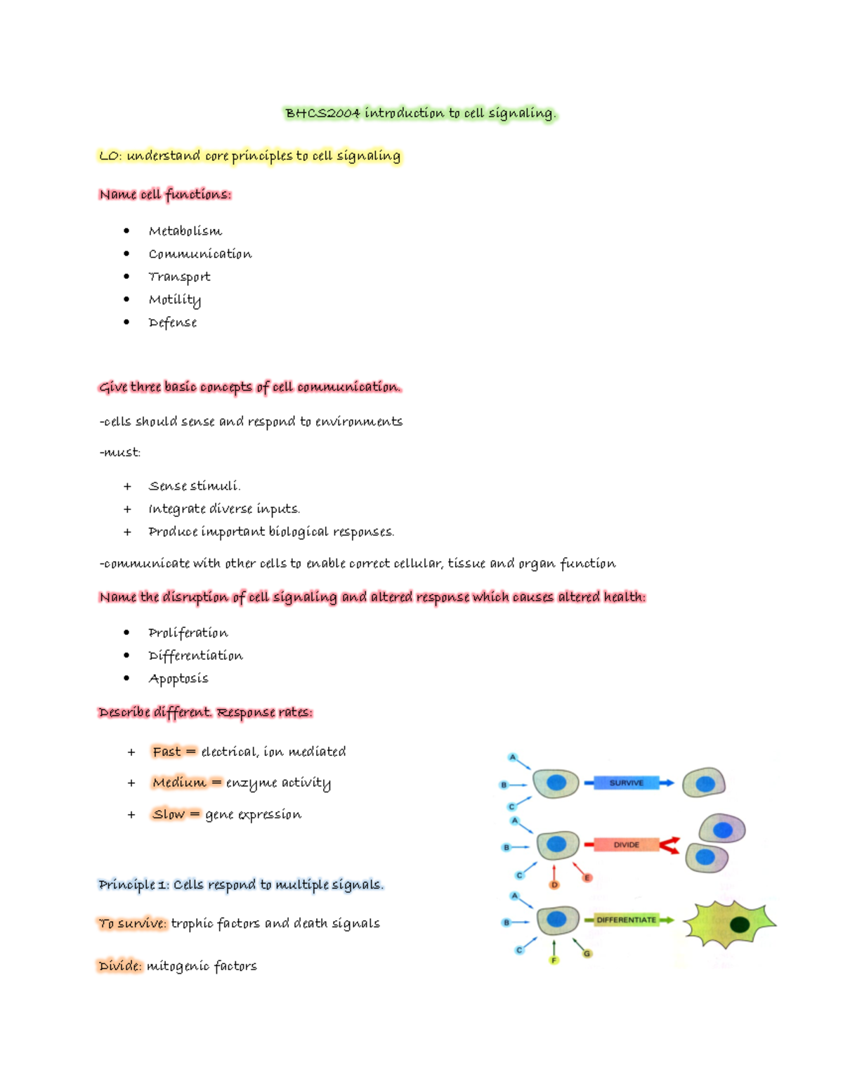 Introduction to cell signalling - LO: understand core principles to ...