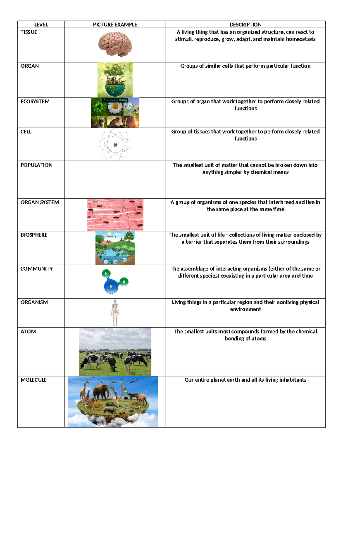 Biological Level - Summary General Biology - LEVEL PICTURE EXAMPLE ...