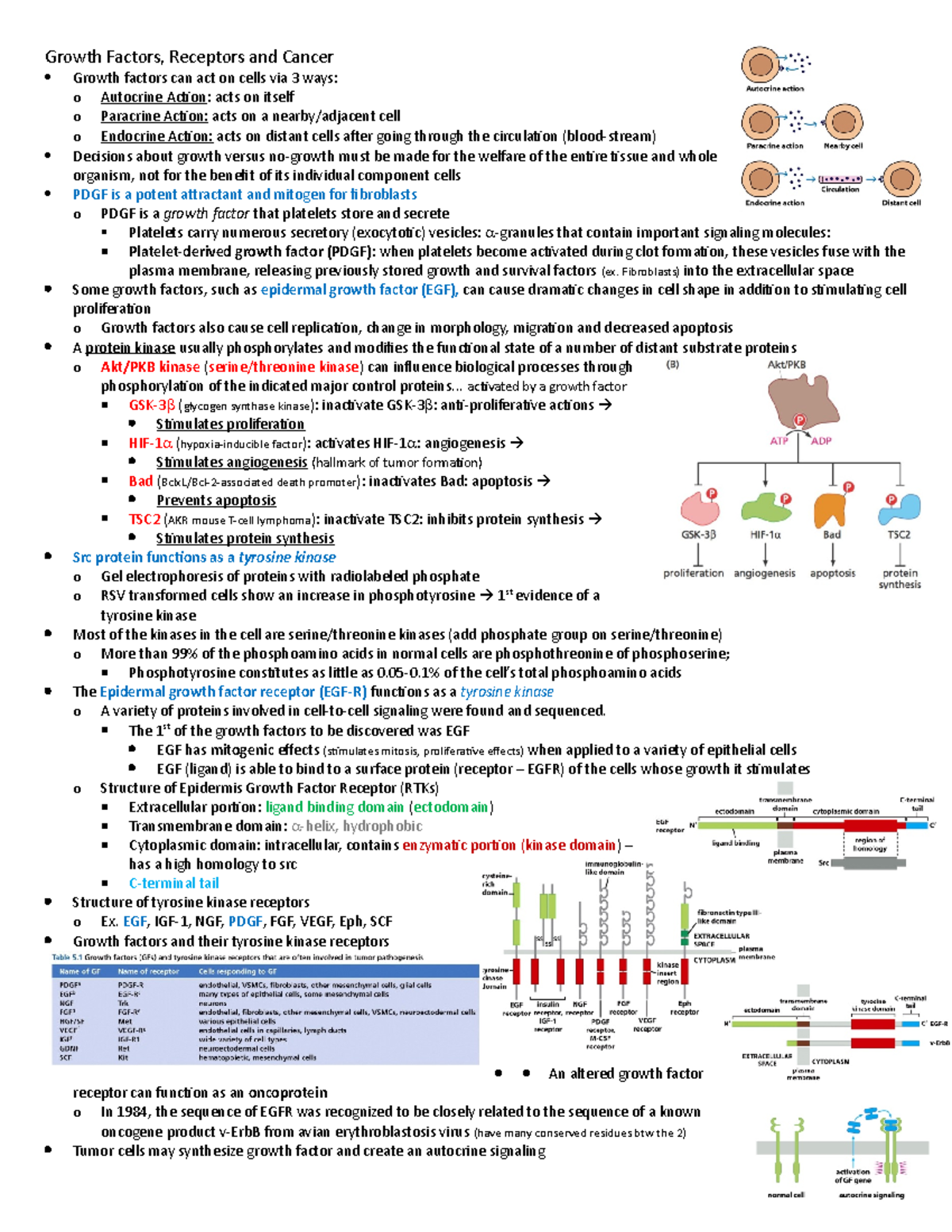 6. Growth Factors - Lecture notes 6 - Growth Factors, Receptors and ...