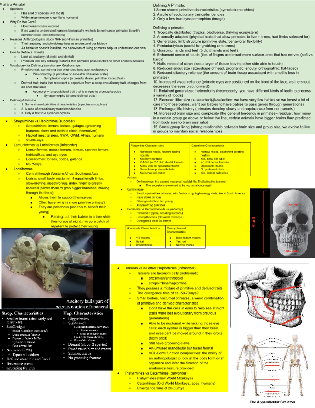 APY Quiz 2 Study Guide - APY 203 - Studocu