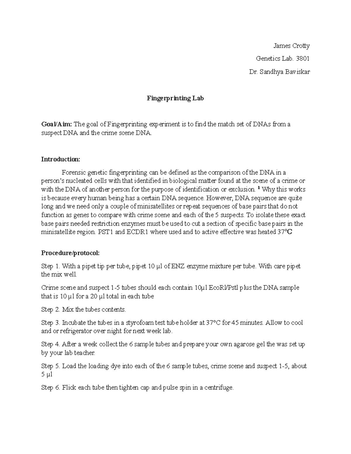 Fingerprinting Lab - James Crotty Genetics Lab. 3801 Dr. Sandhya ...