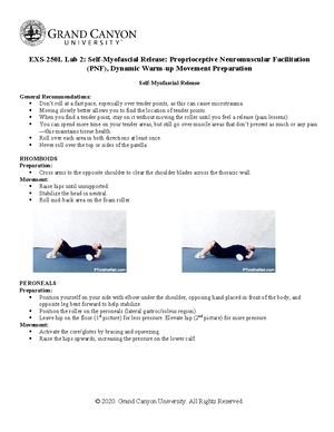 LAB 3- Lower BODY Single Joint Exercises - EXS-250L Lab 3: Lower Body ...