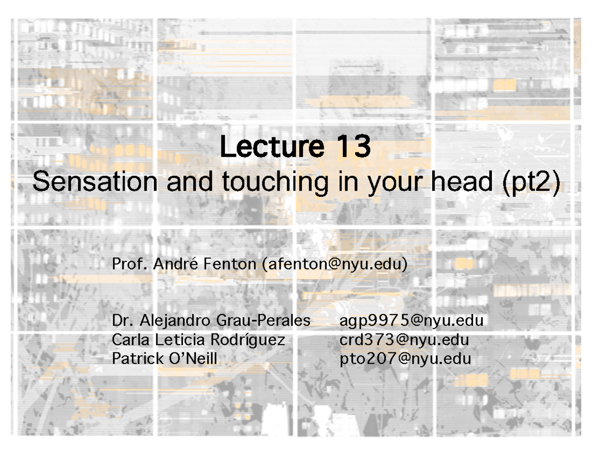 Lecture-13-touch 2 - Copy - Lecture 13 Sensation and touching in your ...