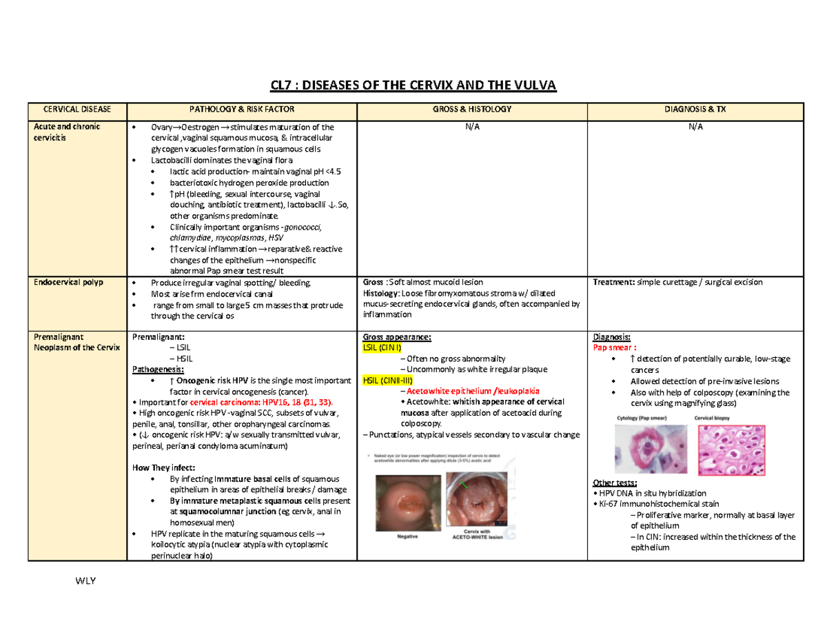 DS of Cervix & Vulva - CL7 : DISEASES OF THE CERVIX AND THE VULVA ...