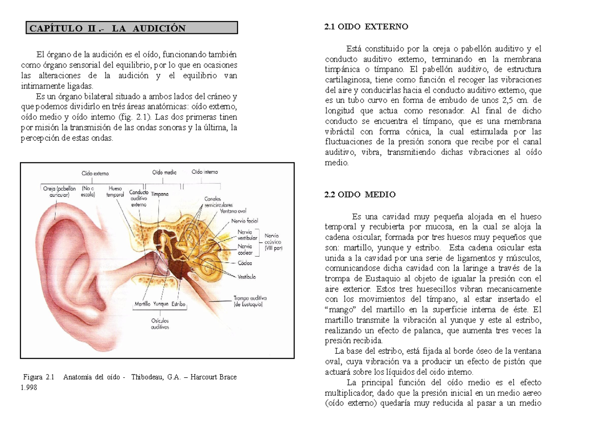 Auditiva - CAPÍTULO II .- LA AUDICIÓN El órgano de la audición es el ...