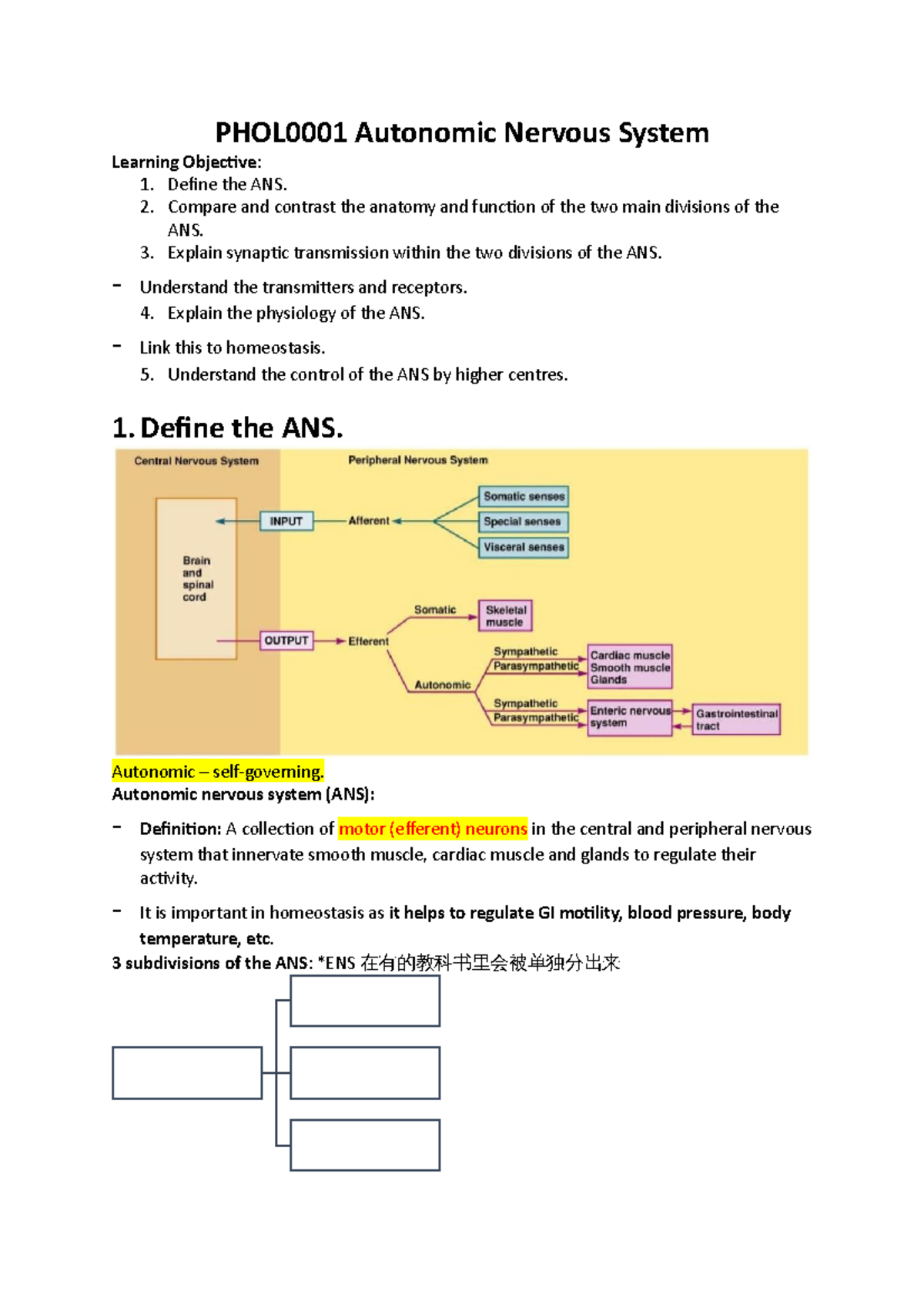 PHOL0001 Autonomic Nervous System - PHOL0001 Autonomic Nervous System ...